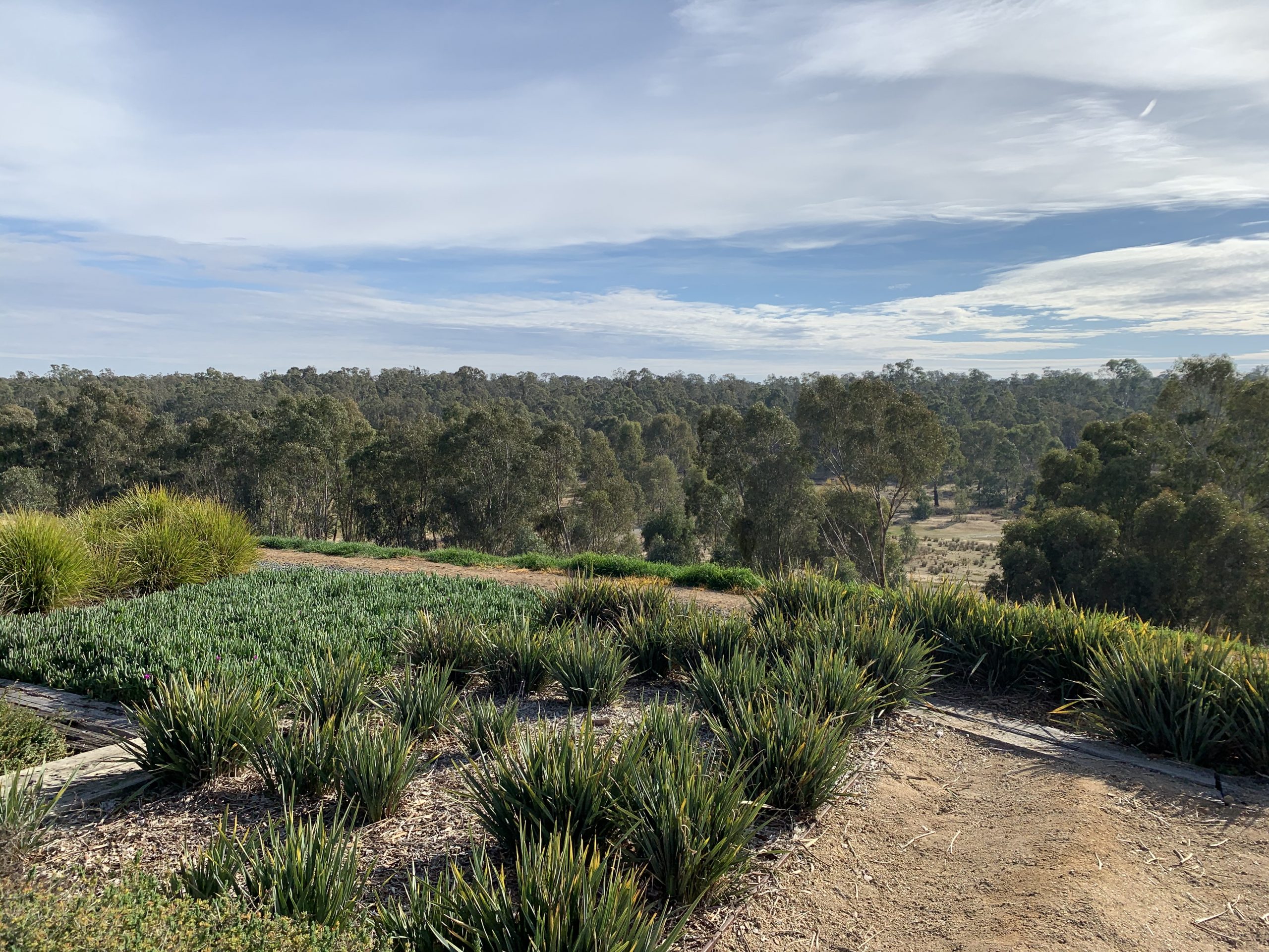 shepparton day trip – Echuca Horticultural Society